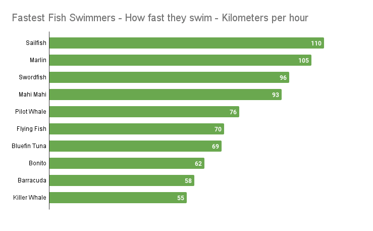 Animal Charts – Fastest Fish Swimmers – a Horizontal Bar Chart – Data ...
