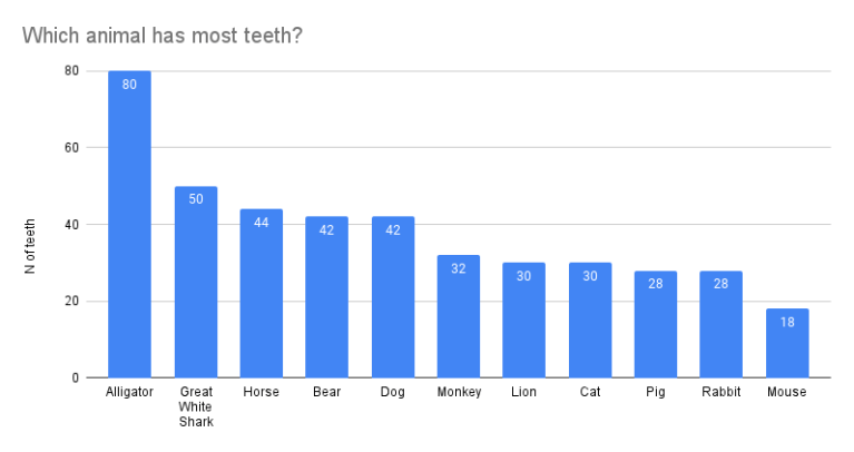 Animal Data – Most Teeth – a Bar Graph – Data Visualization for Kids